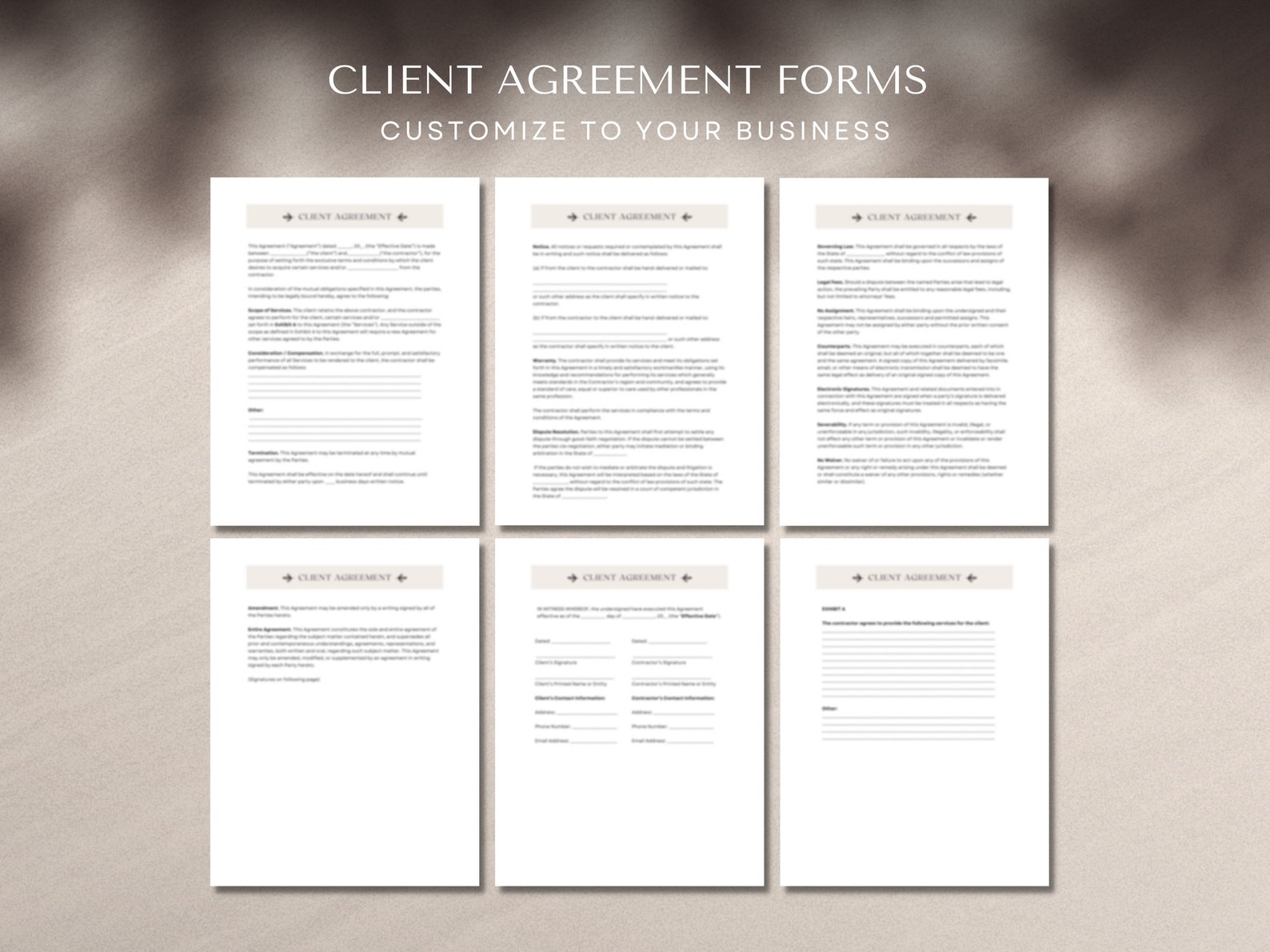 Professional Organizer Proposal Professional Organizer Templates ...