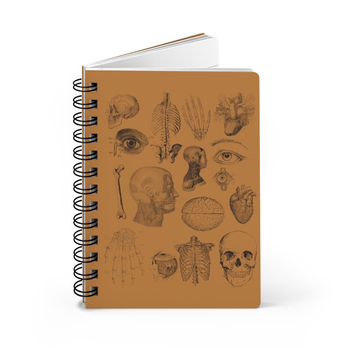 Vintage Anatomy Notebook Skeleton Notebook Dark Academia | Etsy