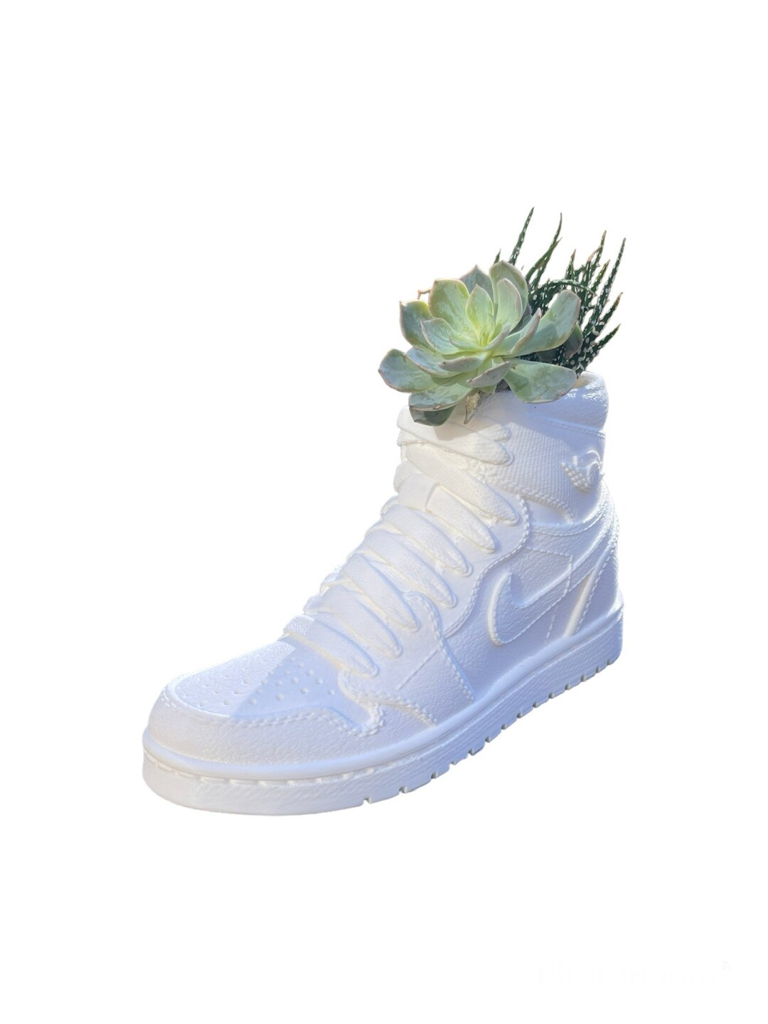 Nike Jordan 1 Sneaker Planter | Shoe Pot | Shoe Planter | Sneakerhead ...