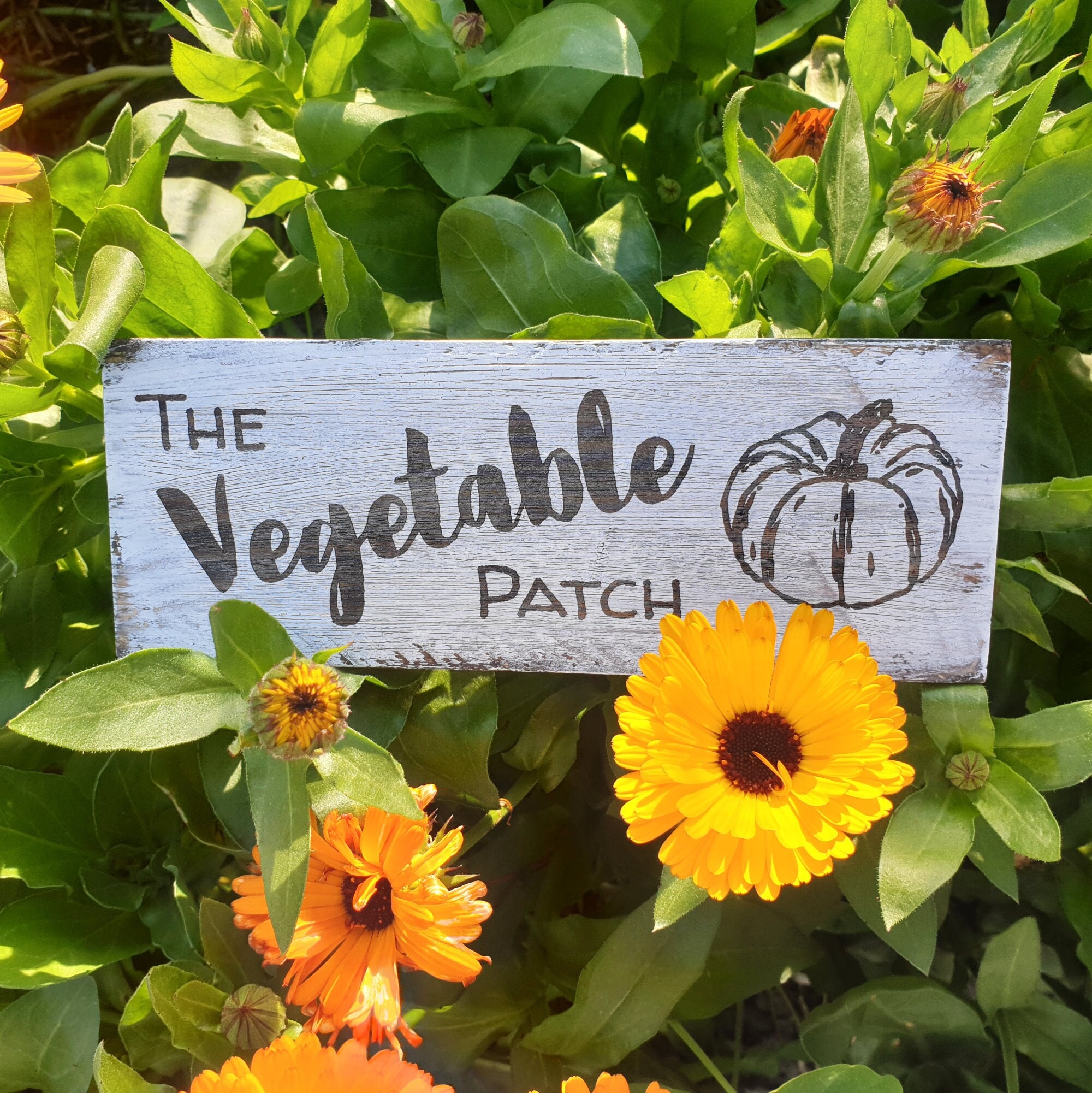 The Vegetable Patch Garden Sign, Rustic Wood Decor for Gardening Gift ...