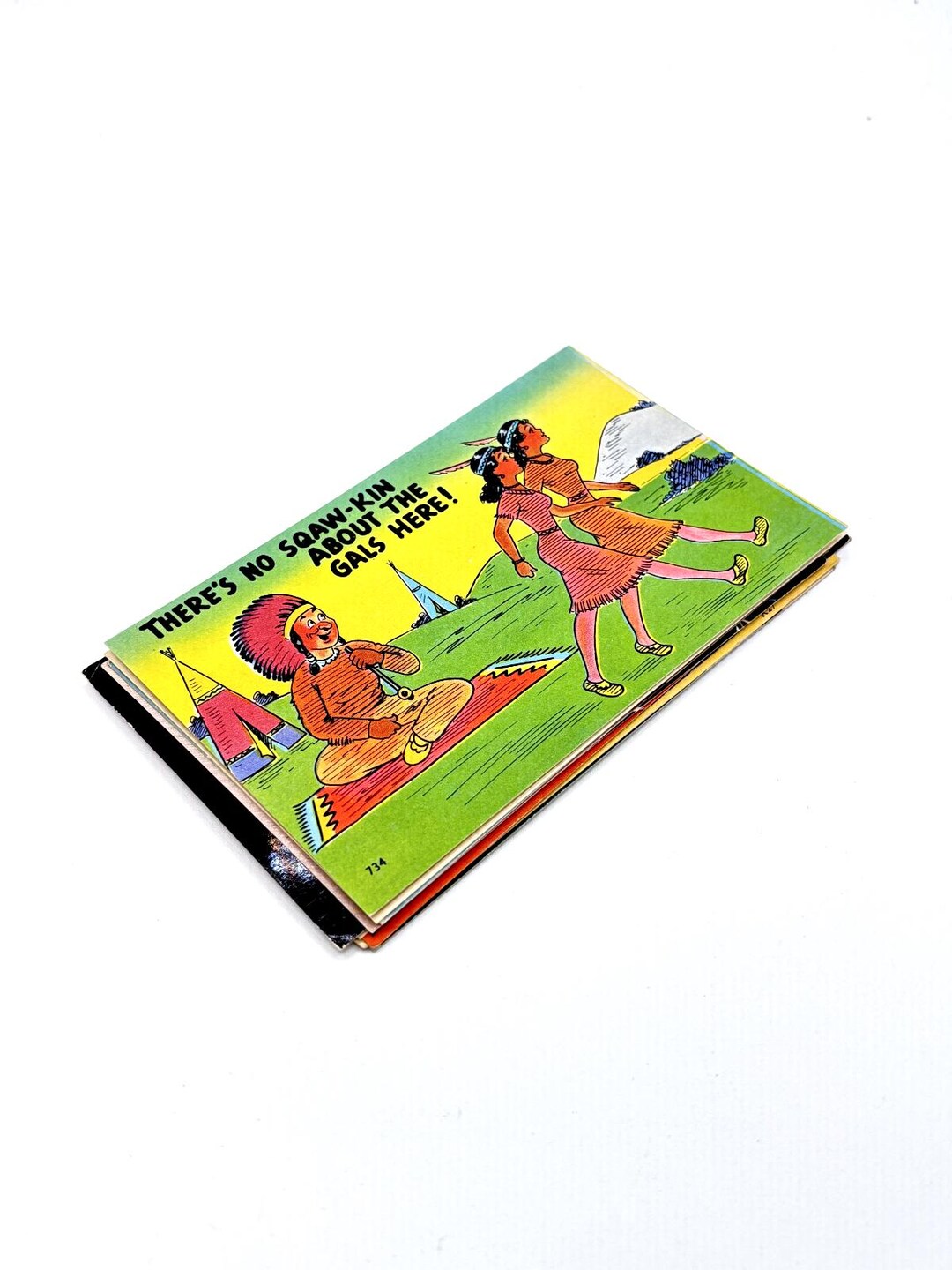 Lot of 12 Vintage Native American Themed Postcards Antique - Etsy