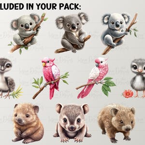 Cute Australian Animals Clipart, Watercolor Baby Aussie Koala Dingo ...