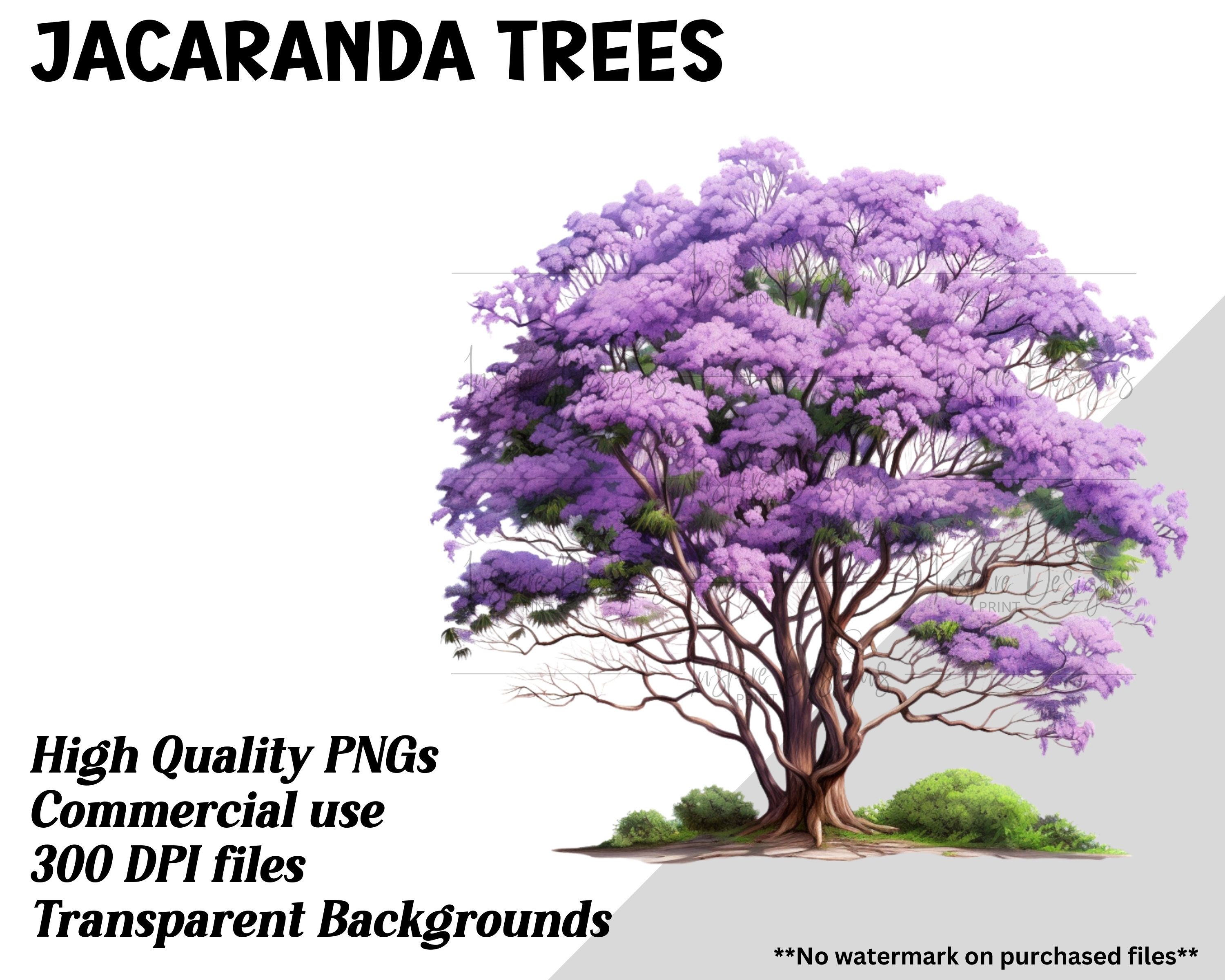 Jacaranda Trees Watercolor Purple Clipart, Digital Nature Green Leaves ...