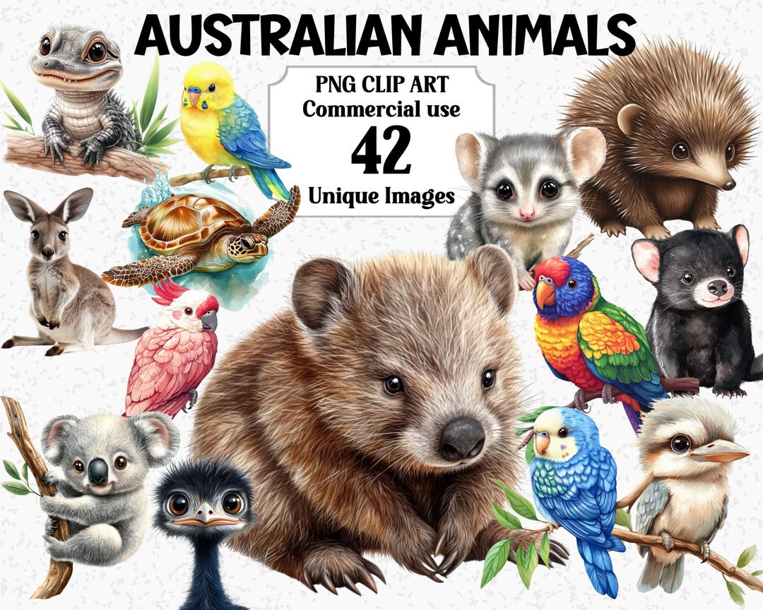 Australian Animals Clipart, Watercolor Koala Dingo Kangaroo Wombat ...