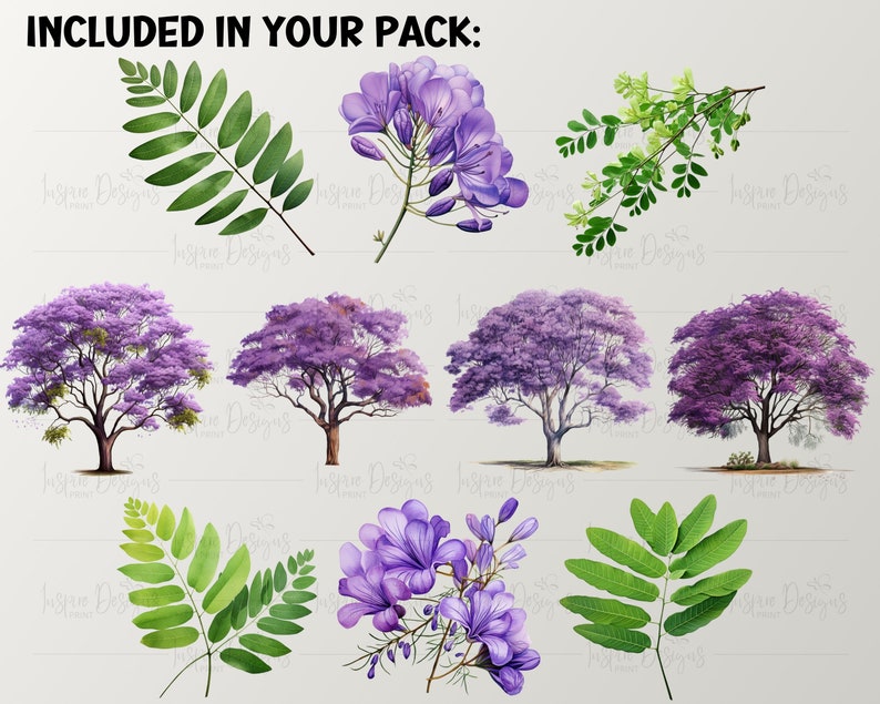 Jacaranda Trees Watercolor Purple Clipart, Digital Nature Green Leaves ...