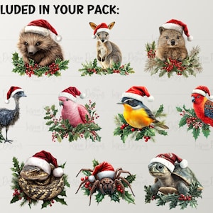 Australian Christmas Animals Clipart Set 1, Watercolor Animals Koala ...