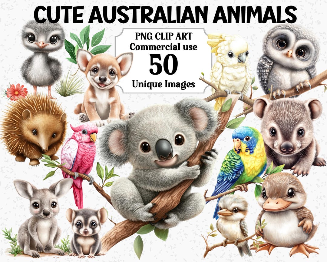 Cute Australian Animals Clipart, Watercolor Baby Aussie Koala Dingo ...