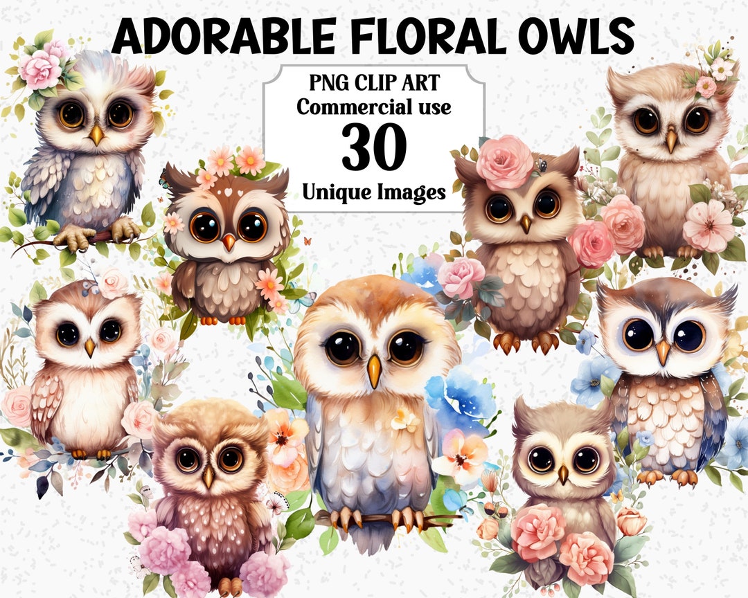 Adorable Floral Owls Watercolor Clipart, Digital/paper Craft, Cute ...