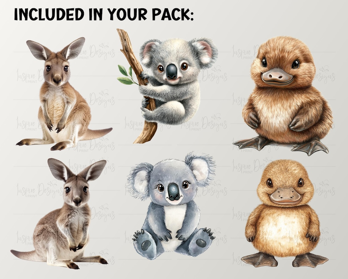 Australian Animals Clipart, Watercolor Koala Dingo Kangaroo Wombat ...