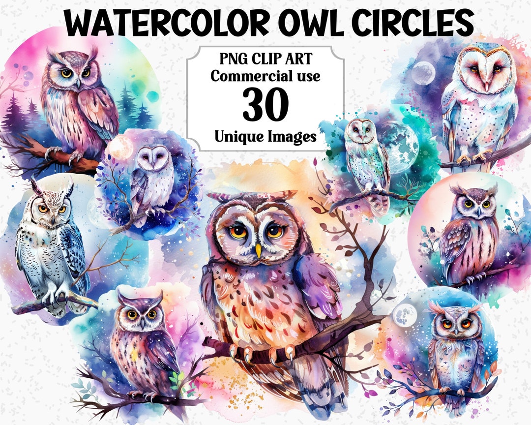 Watercolor Owl Circles Clipart, Adorable Digital/paper Craft, Cute ...