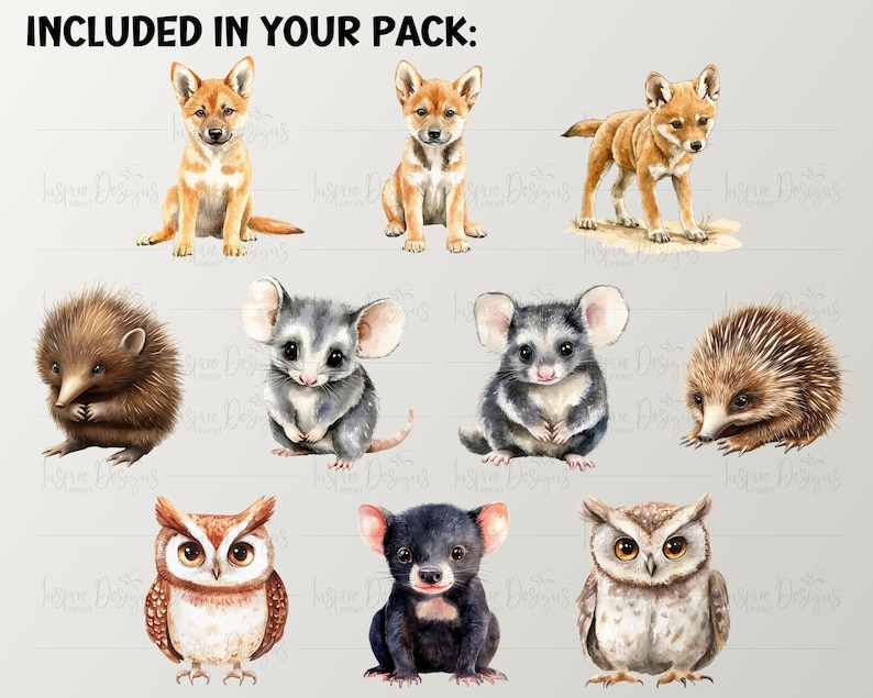 Watercolor Australian Animals Clipart, Aussie Koala Dingo Platypus Emu ...