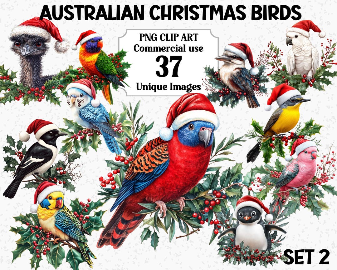 Australian Christmas Birds Clipart Set 2, Watercolor Galah, Penguin ...
