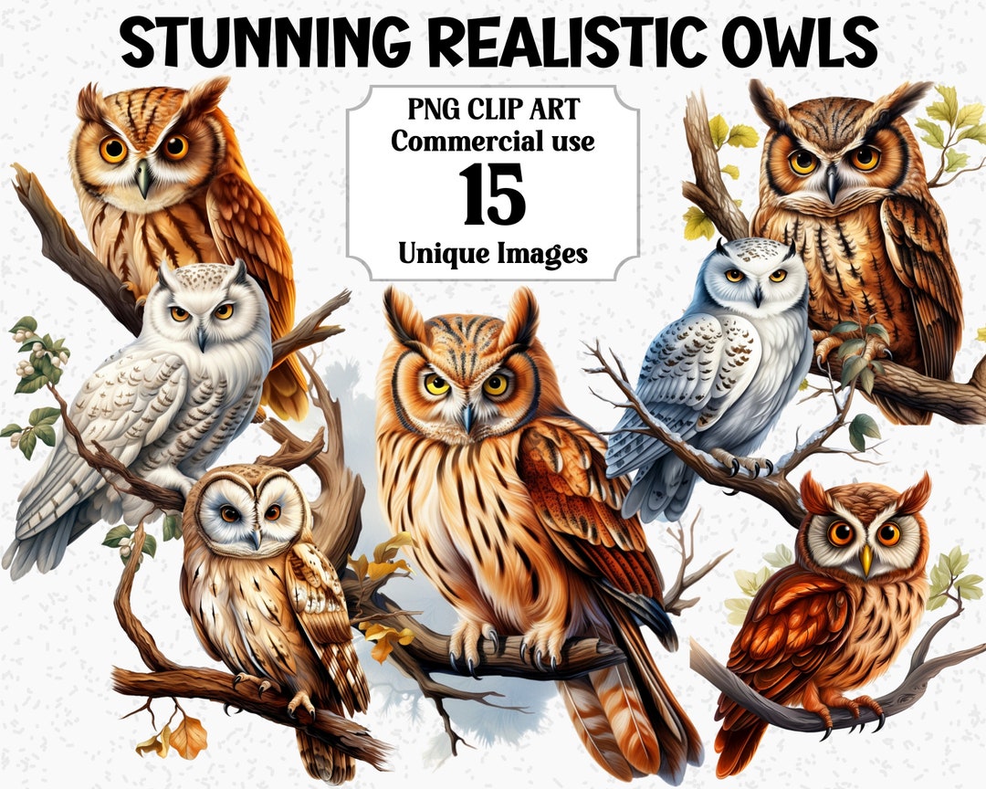 Stunning Realistic Owls Watercolor Birds Clipart, Digital & Paper Craft ...