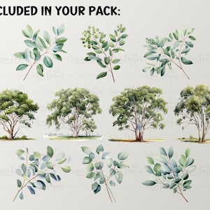 Eucalyptus Trees Watercolor Clipart, Digital Nature Green Leaves ...