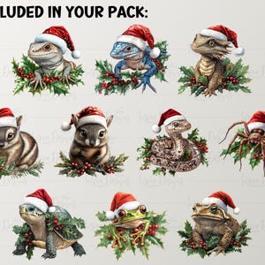 Australian Christmas Animals Clipart Set 2, Watercolor Animals Koala ...