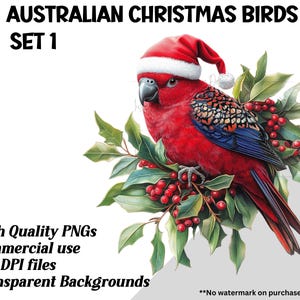 Australian Christmas Birds Clipart Set 1, Watercolor Parrot, Kookaburra ...