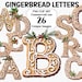 Gingerbread Letters Clipart, Christmas Cookie Alphabet Digital & Paper ...