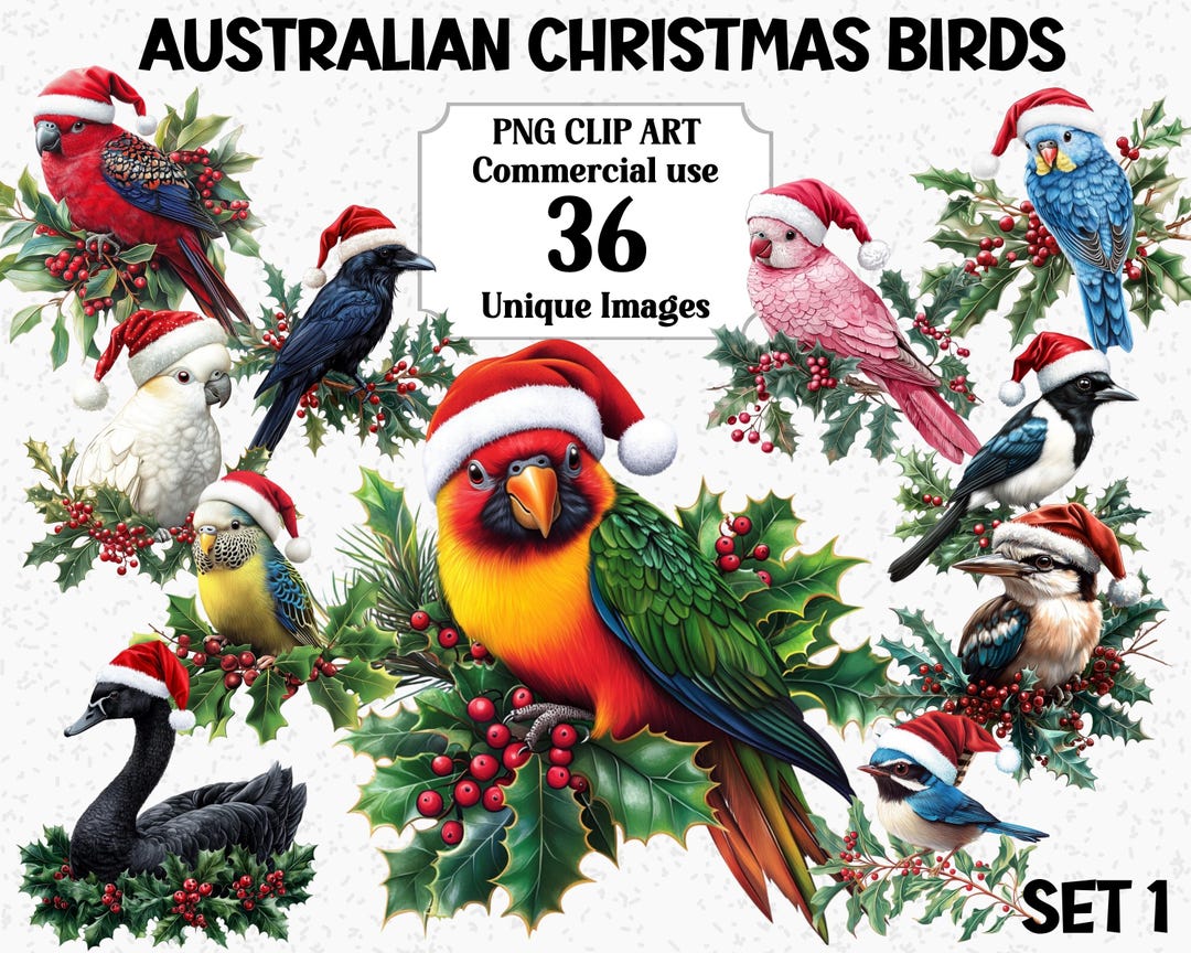 Australian Christmas Birds Clipart Set 1, Watercolor Parrot, Kookaburra ...