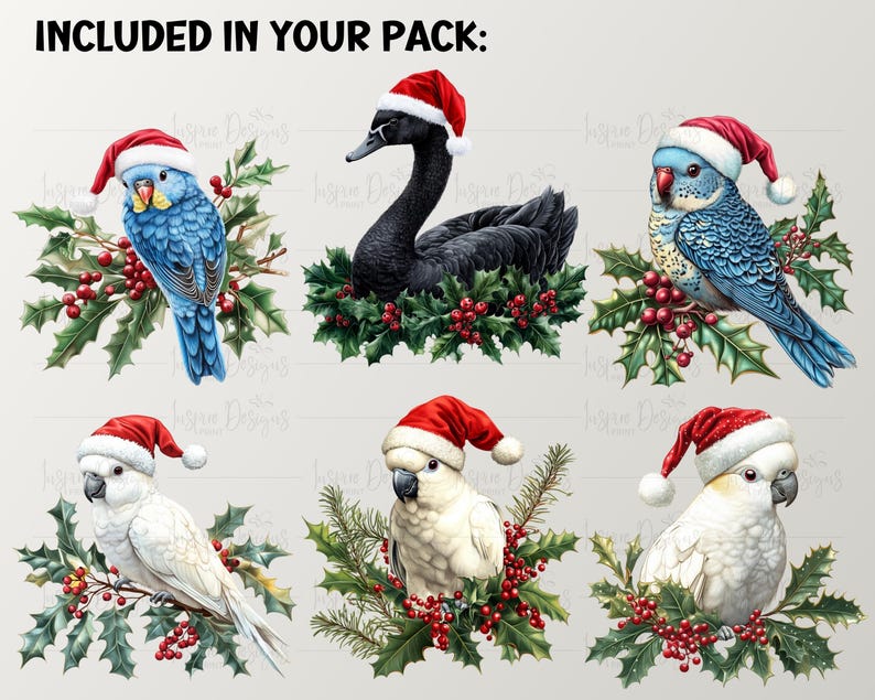 Australian Christmas Birds Clipart Set 1, Watercolor Parrot, Kookaburra ...