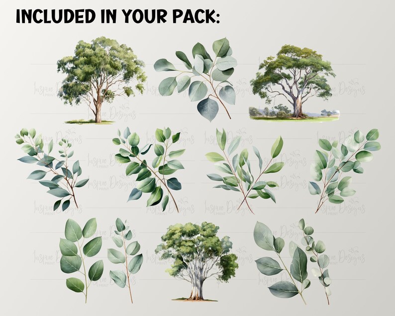 Eucalyptus Trees Watercolor Clipart, Digital Nature Leaves Sublimation ...