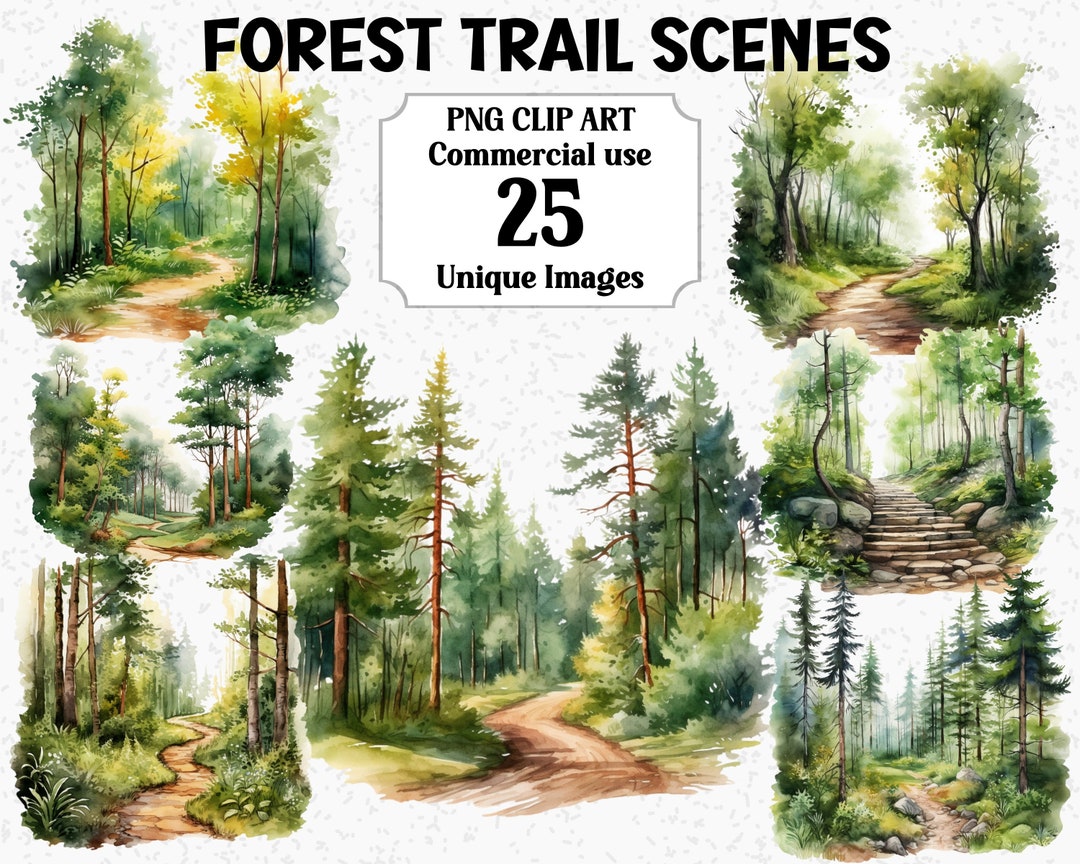 Forest Trail Scenes Watercolor Nature Landscape Pathways Sublimation ...