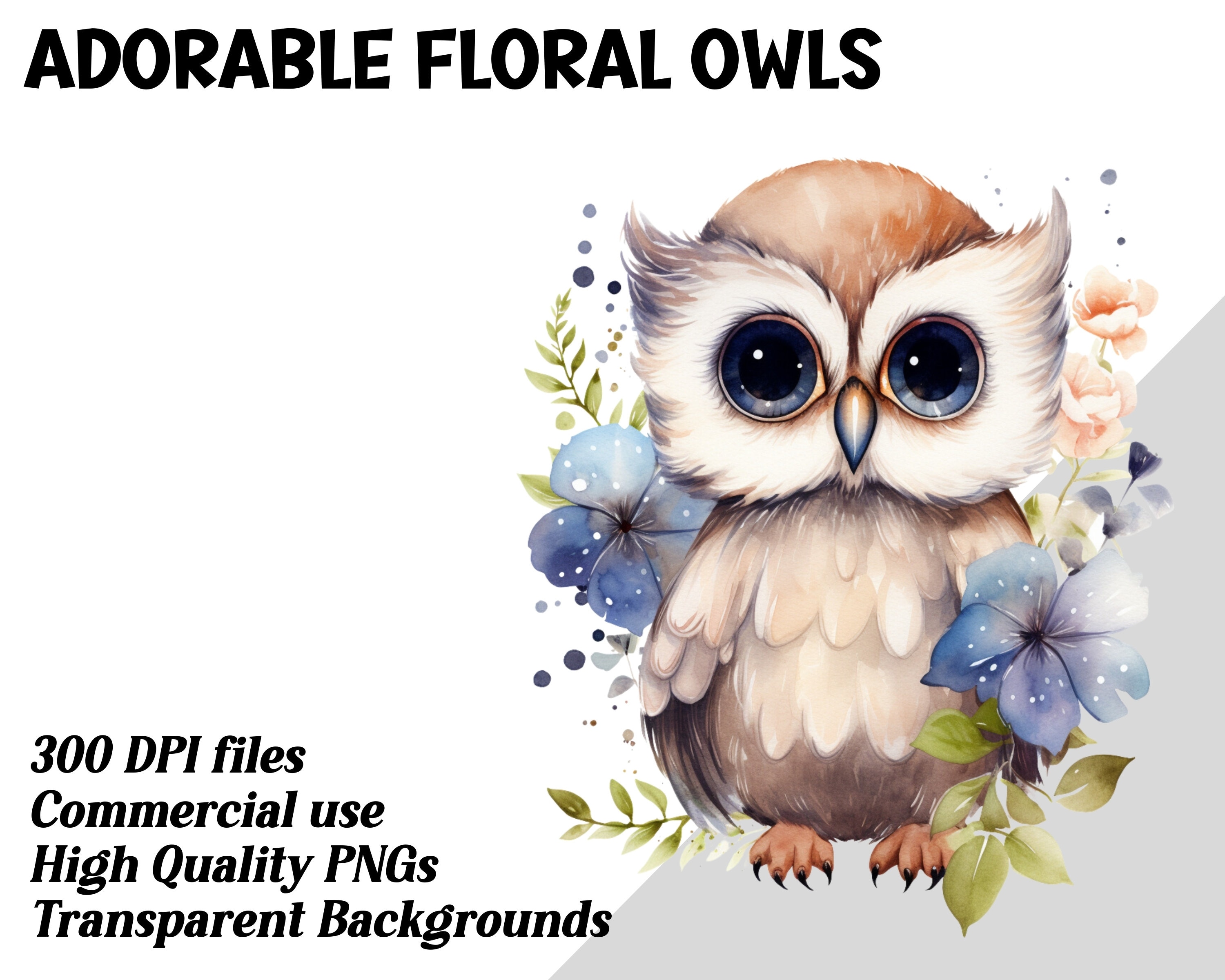 Adorable Floral Owls Watercolor Clipart, Digital/paper Craft, Cute ...
