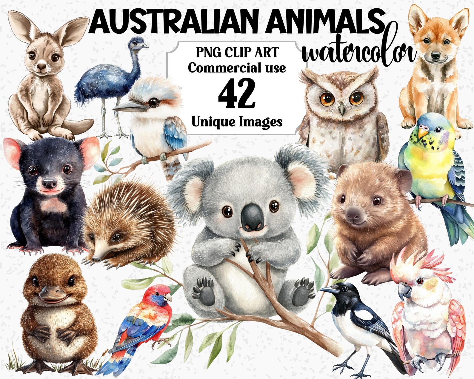 Watercolor Australian Animals Clipart, Aussie Koala Dingo Platypus Emu ...