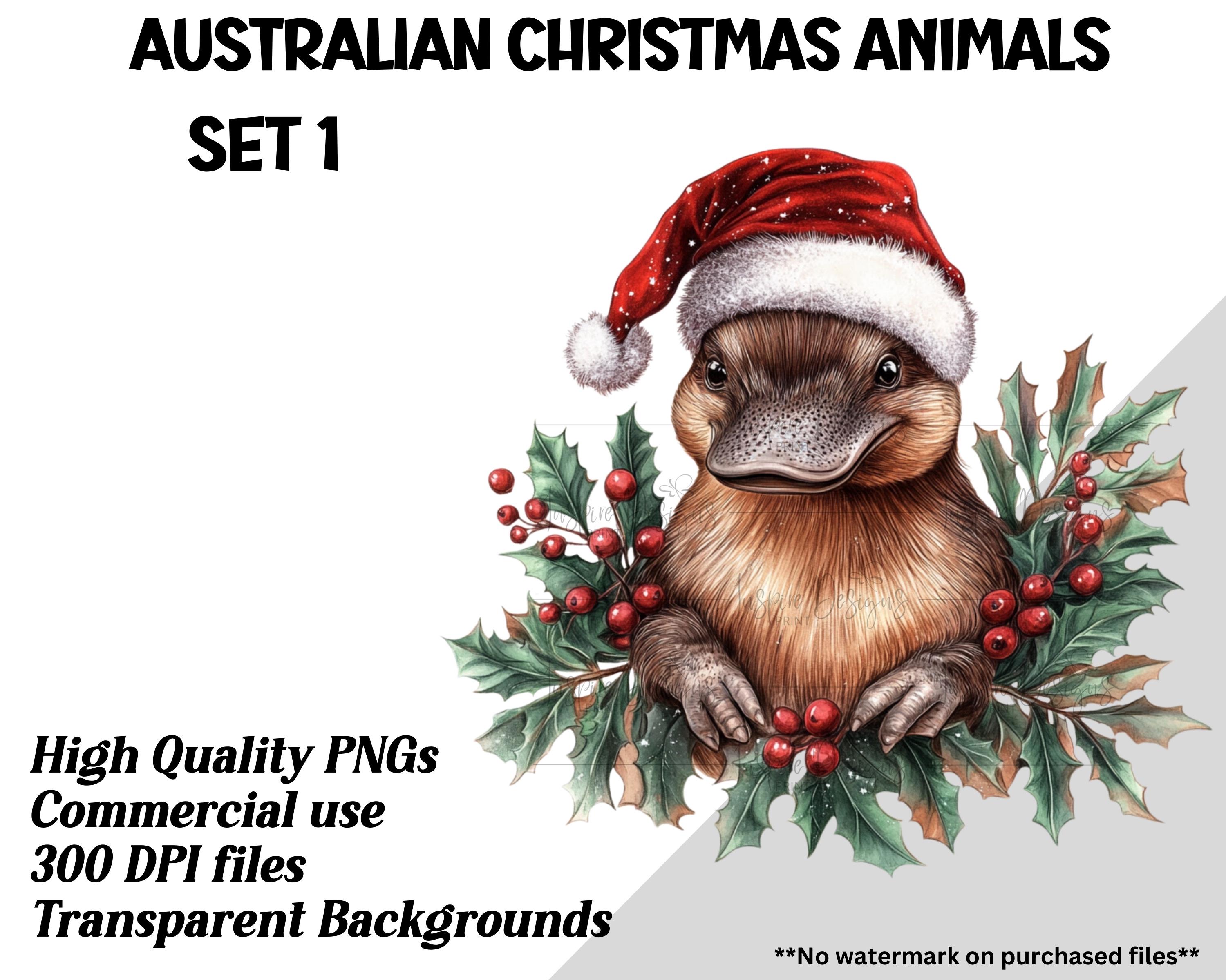 Australian Christmas Animals Clipart Set 1, Watercolor Animals Koala ...