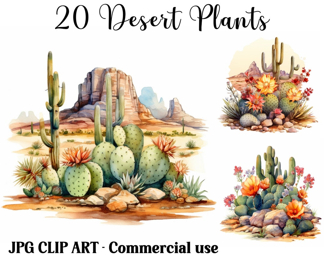 Desert Plants Watercolor Cactus Clipart Scenes, Digital Craft, Instant ...