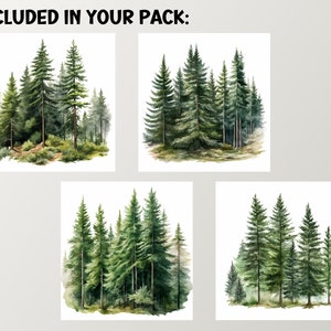 Pine Forest Scenes Watercolor Clipart, Digital & Paper Craft, Instant ...
