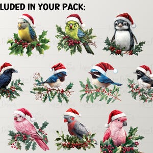 Australian Christmas Birds Clipart Set 1, Watercolor Parrot, Kookaburra ...