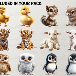 Cute Baby Animals PNG Clipart - Instant Download Commercial Use, Tigers ...