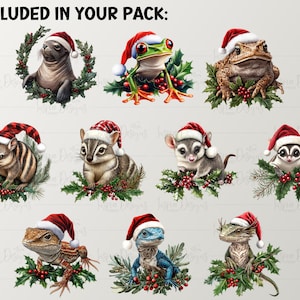 Australian Christmas Animals Clipart Set 1, Watercolor Animals Koala ...