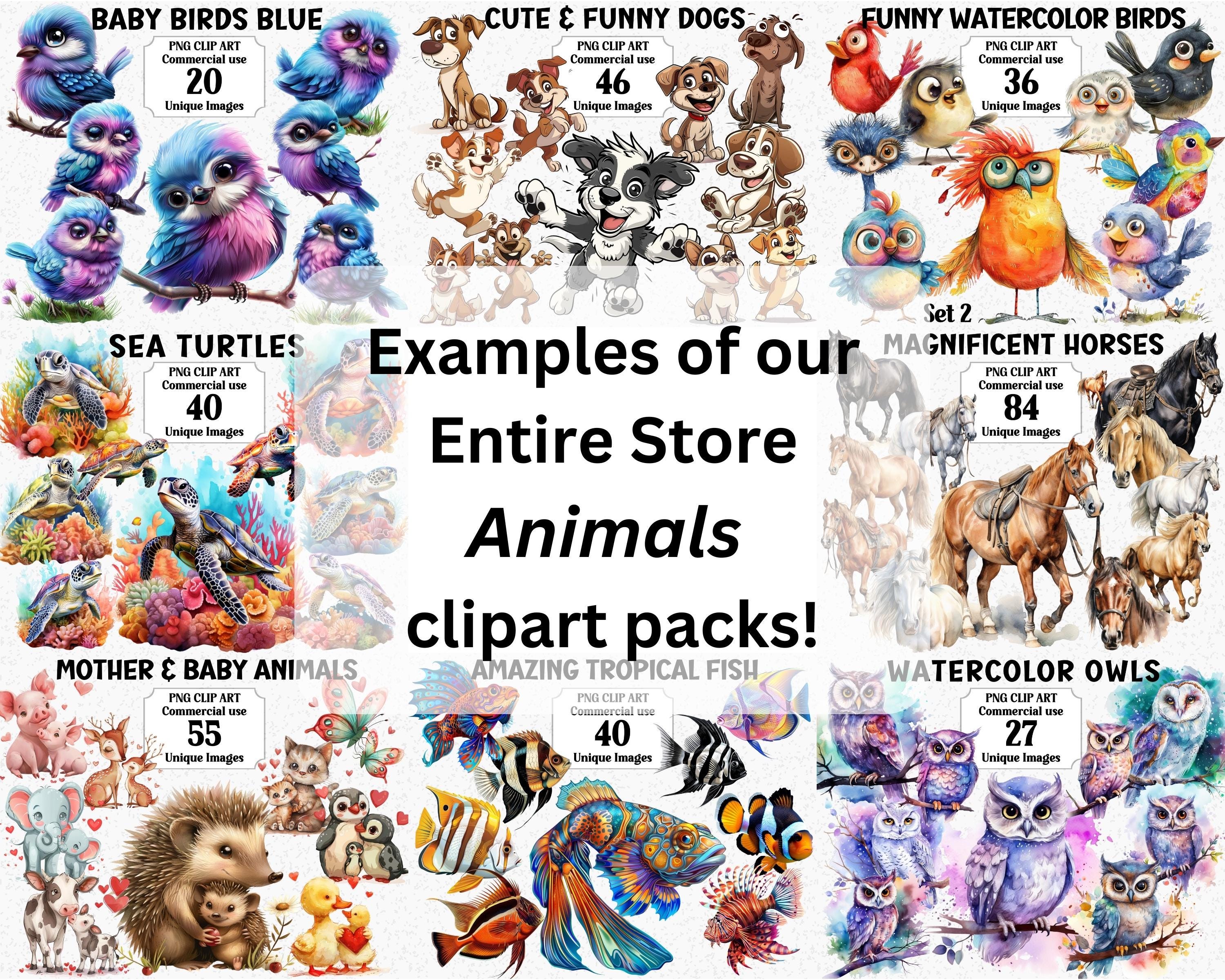 Entire STORE Clipart Bundle - 35000+ Images & All Future Designs ...