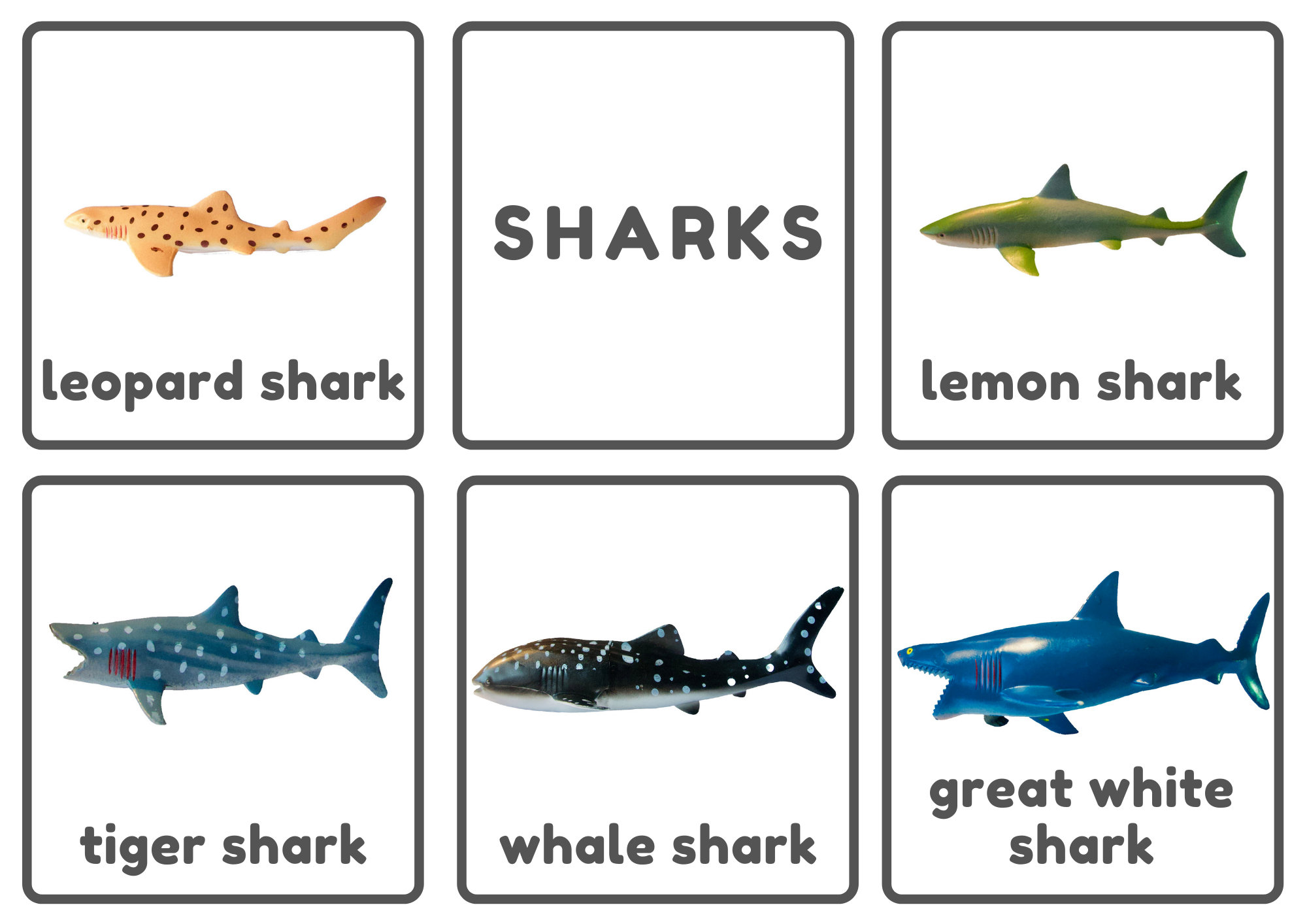 Exact Match | Kmart Ocean Animal | Montessori Card Game - Etsy