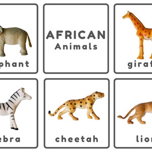 Exact Match Wild Republic African Nature Montessori Card Game - Etsy