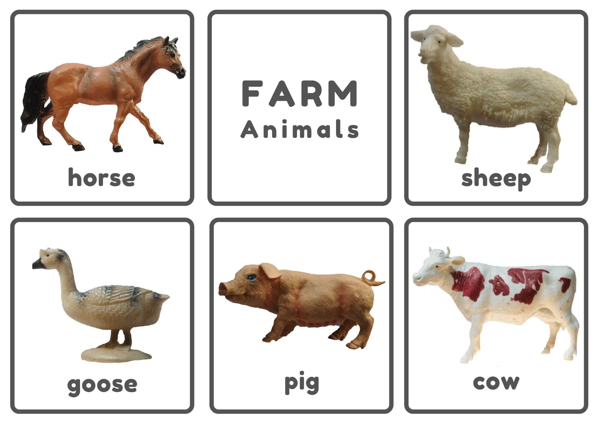 Montessori Kmart Farm Animal Exact Match Cards - Etsy