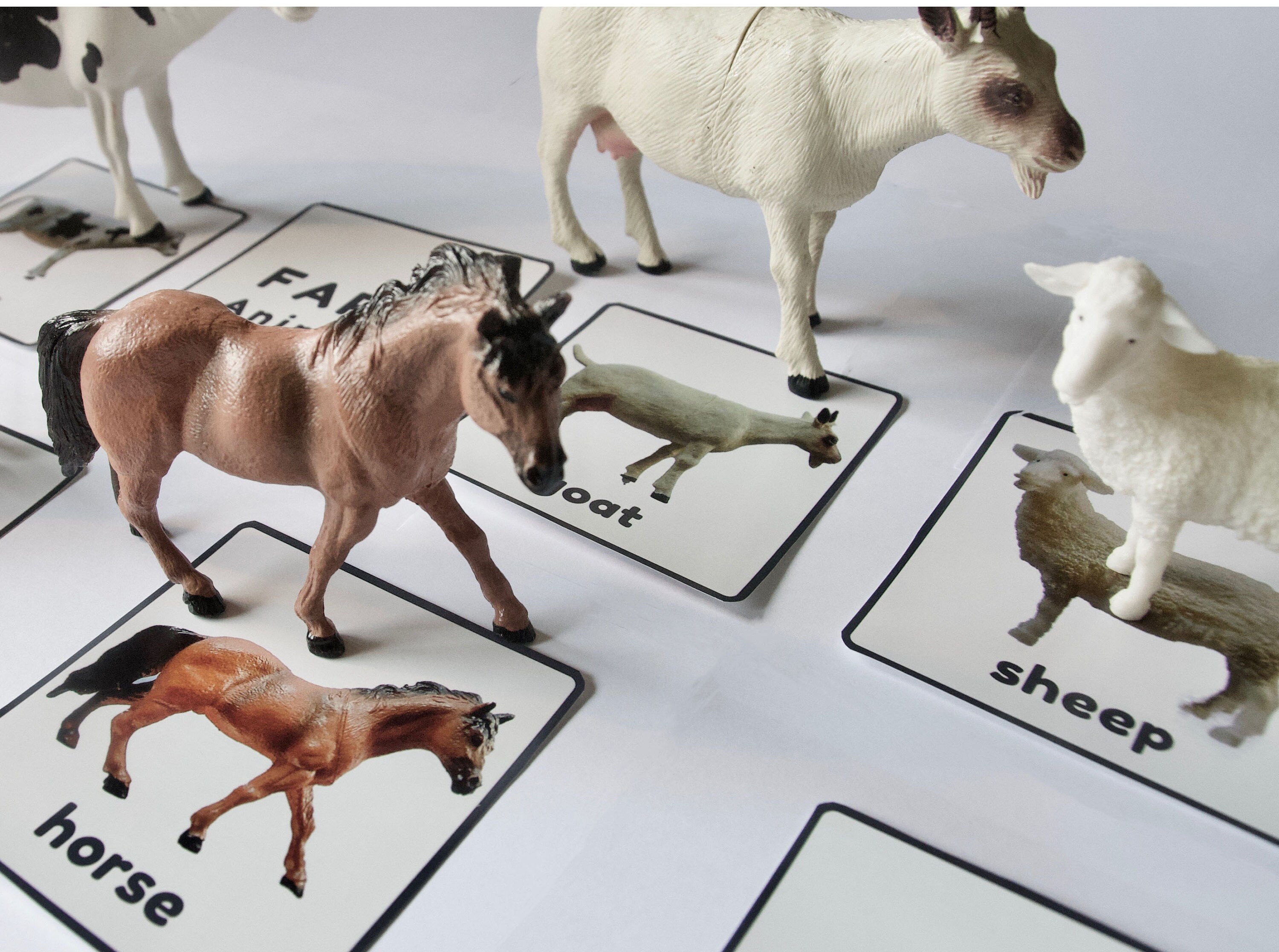 Exact Match Kmart Farm Animal Montessori Card Game - Etsy