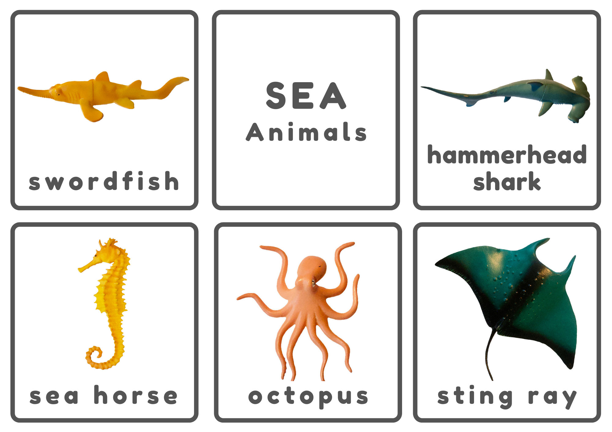 Montessori Kmart Sea Animal Exact Match Cards - Etsy