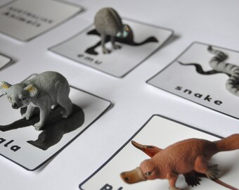 Animal Montessori Cards - Etsy