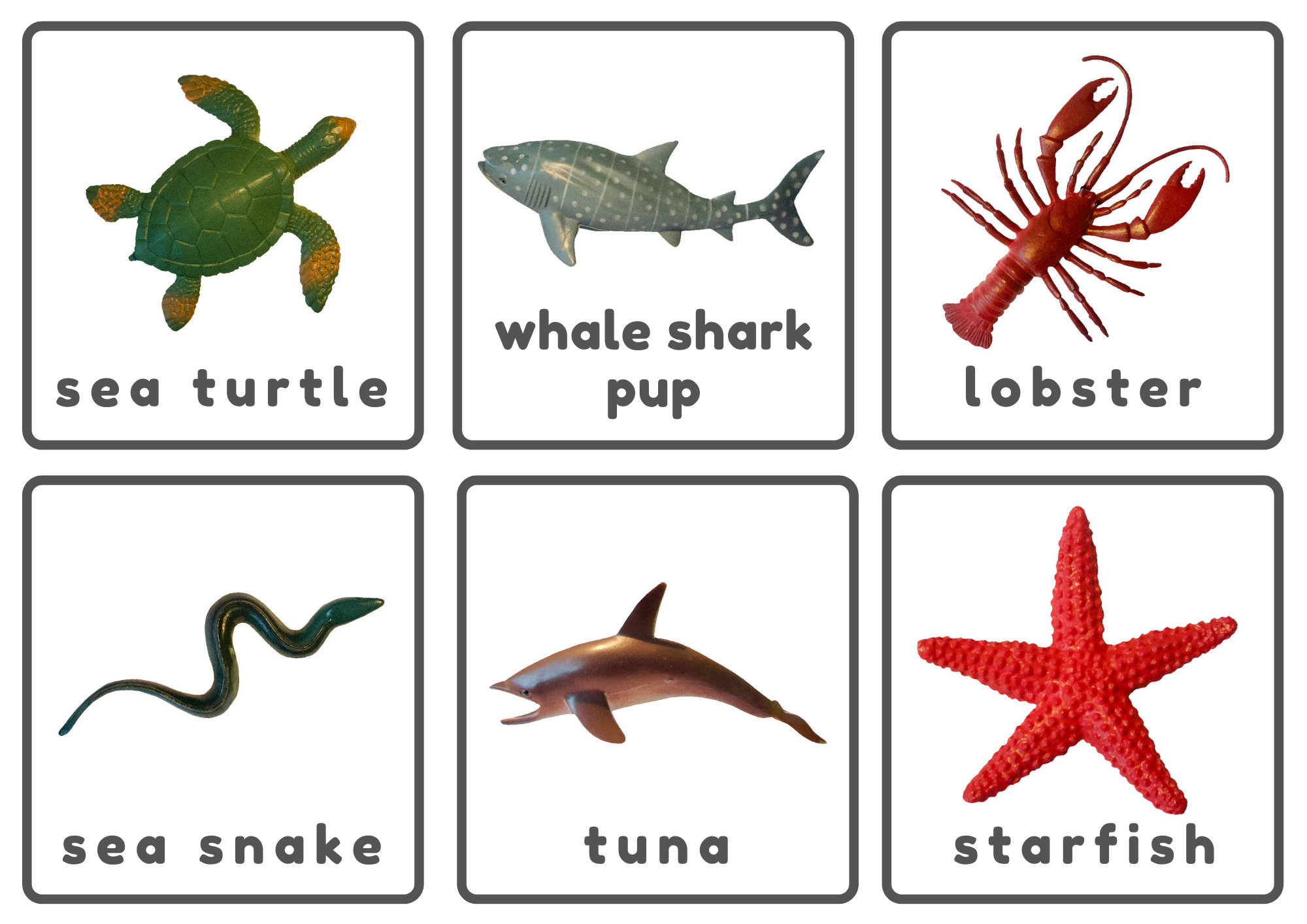 Montessori Kmart Sea Animal Exact Match Cards - Etsy