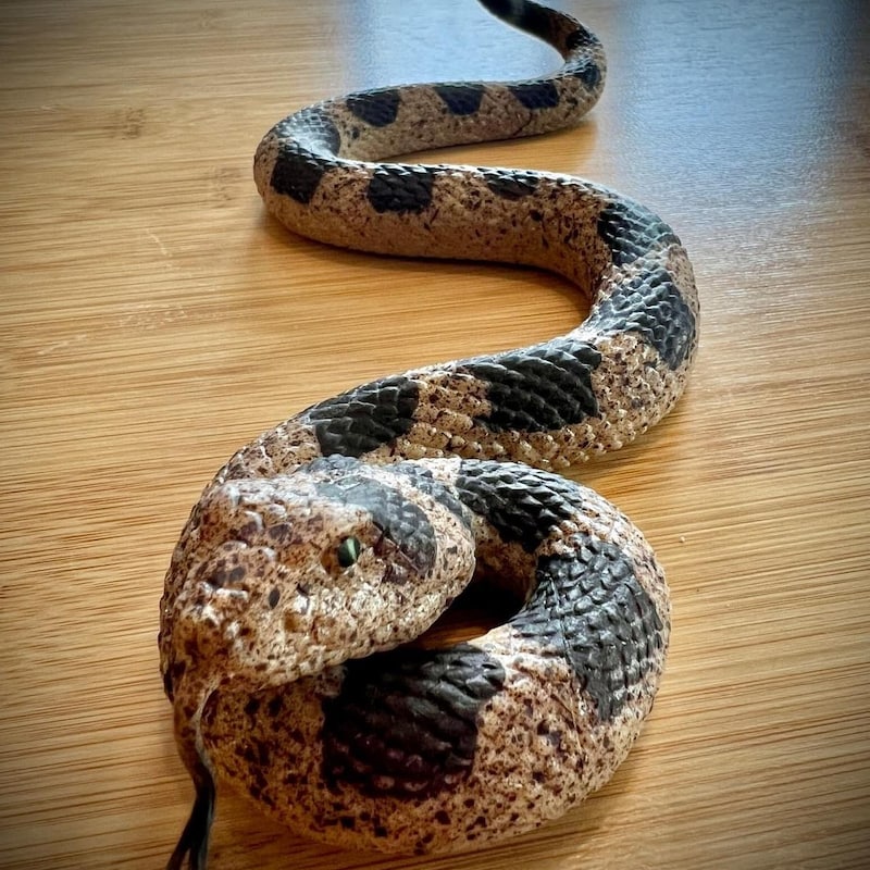 Realistic Rubber Snakes - Etsy