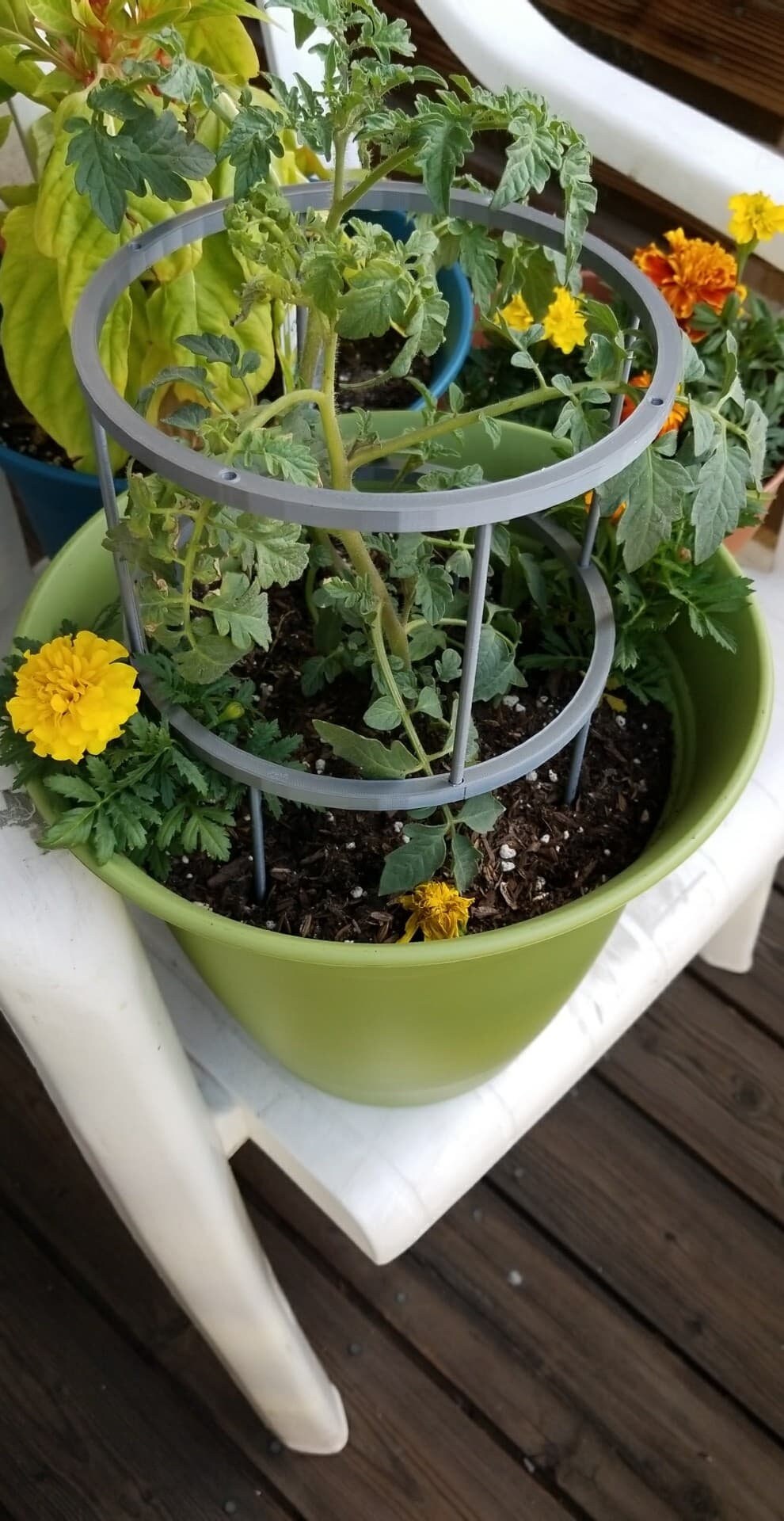 Stackable Tomato Cage | 3D Printed Plant Propagation (PR-25) - Etsy