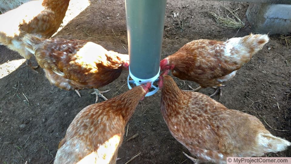 3D Printed Chicken Feeder (CF-01) - Etsy