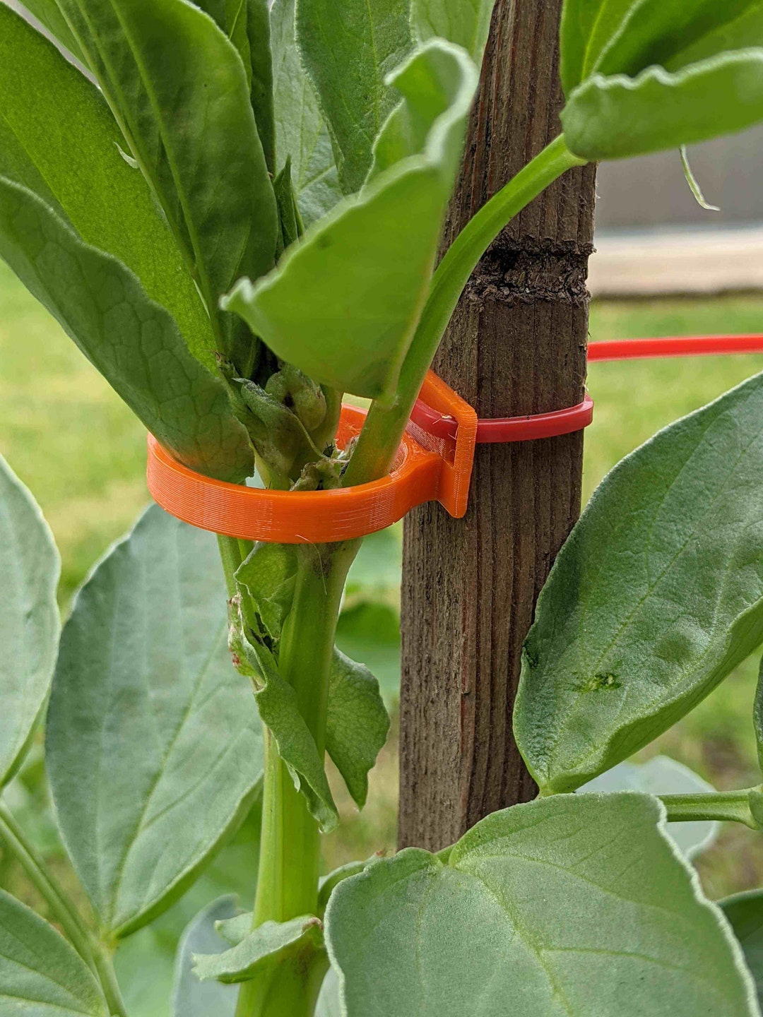 Tomato Clamp | 3D Printed Plant Propagation (PR-16) - Etsy