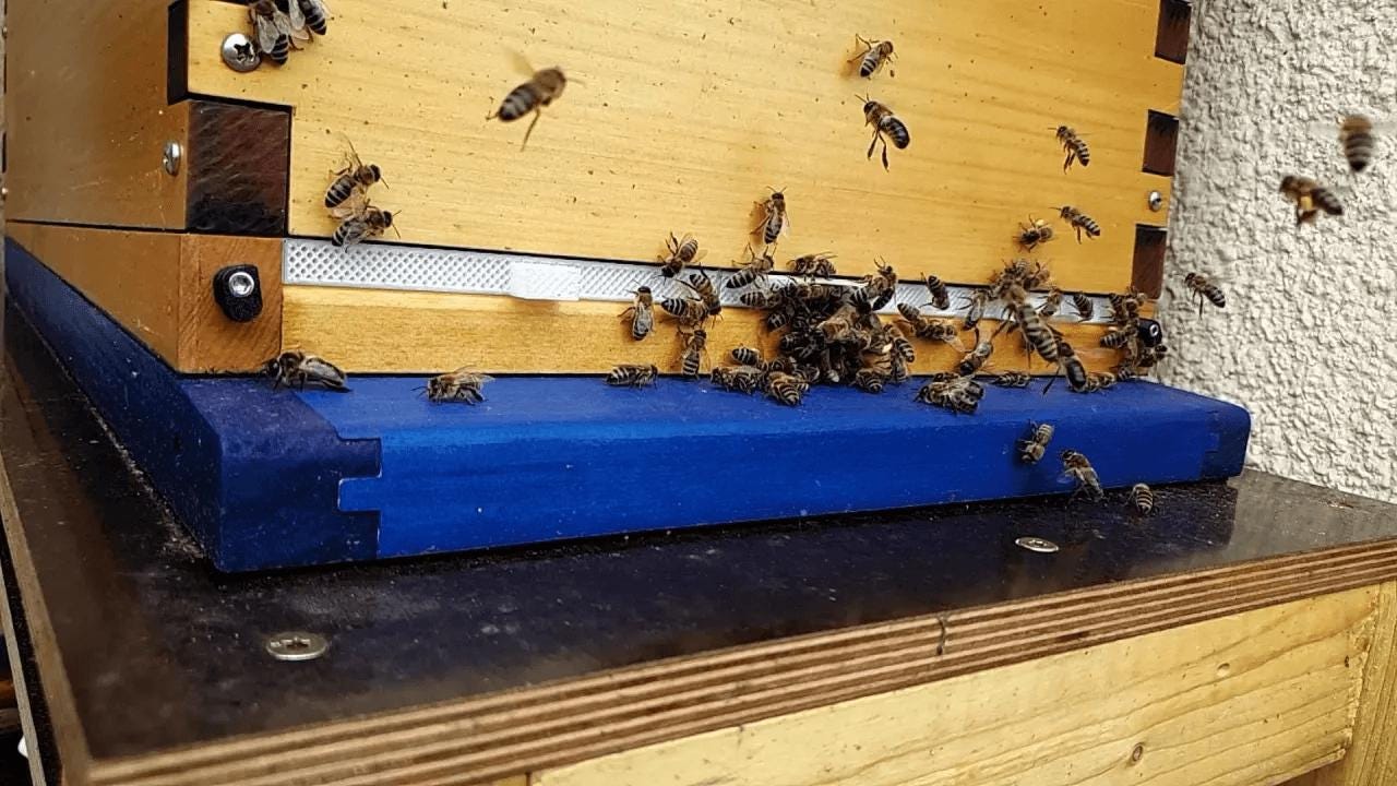 Flow Hive Entrance Reducer | 3D Printed Flow Hive Accessories ...