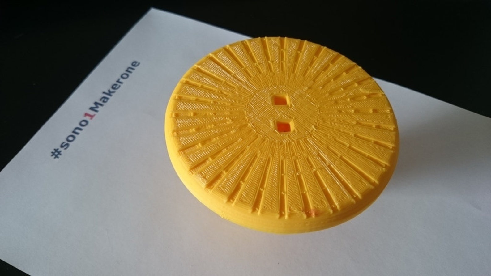 DIY Soda Bottle Fly and Wasp Trap | Effective and Eco-friendly Insect ...