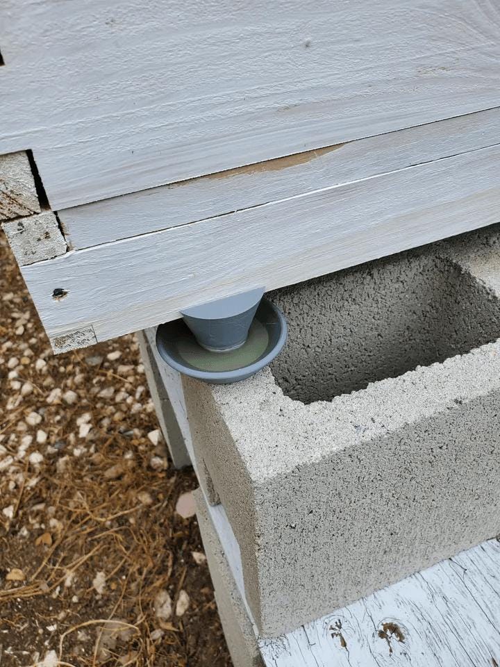 Bee Hive Ant Trap | 3D Printed Bee Hive Accessories | Customizable ...