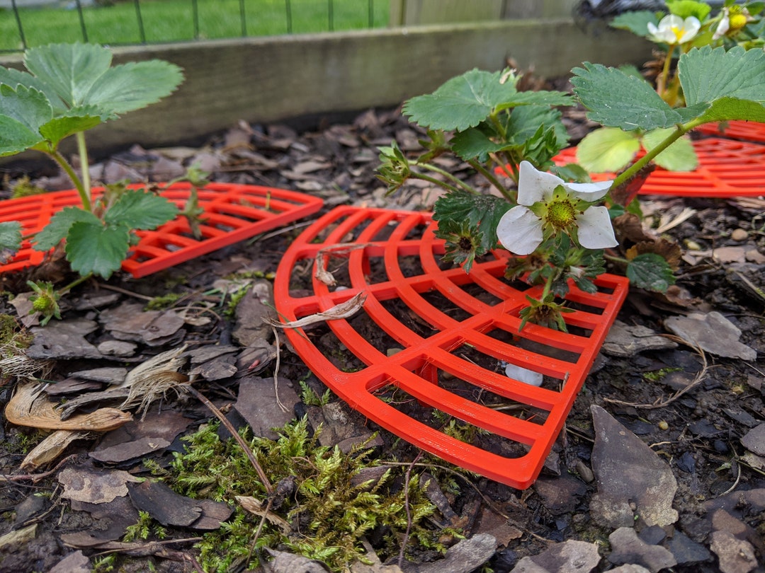 Strawberry Support | 3D Printed Plant Propagation (PR-27) - Etsy