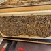 Flow Hive Frame Hanger | 3D Printed Flow Hive Accessories | Beekeeping ...